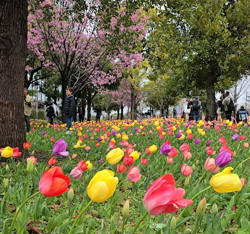 Boontharika's Portfolio